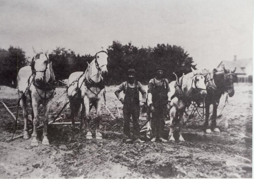D&TSL View Grading Crews 1900 | The Nickel Plate Archive